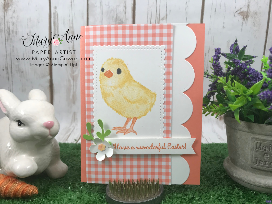 Baby Chick Card - MaryAnneCowan.com - Mary Anne Cowan, Stampin' Up ...