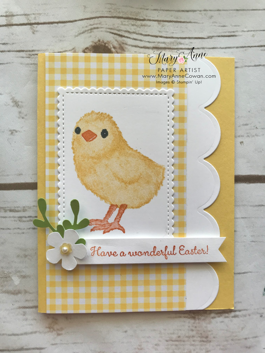 Baby Chick Card - MaryAnneCowan.com - Mary Anne Cowan, Stampin' Up ...