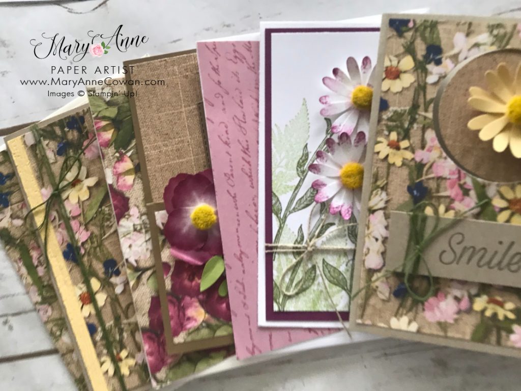 Cute Fun Fold & New Catalogue Pre-Order Haul! - MaryAnneCowan.com ...