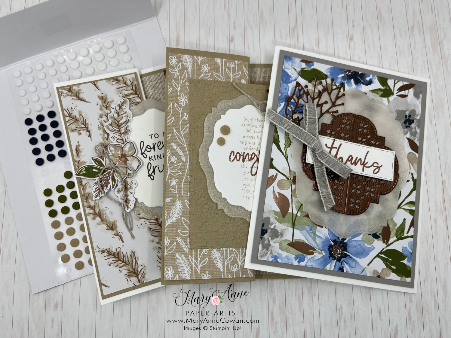 WOW Fun Folds featuring Delicate Dreams DSP - MaryAnneCowan.com - Mary ...